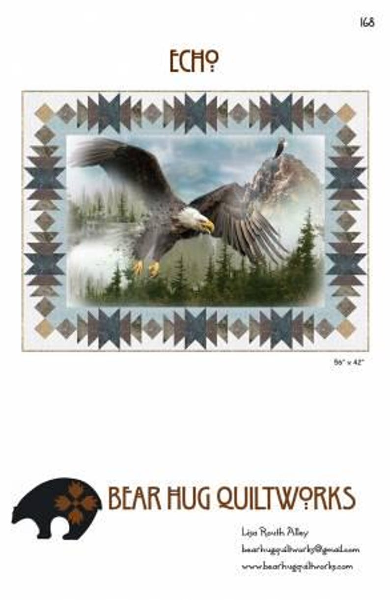 Echo Quilt Pattern From Bear Hug Quiltworks by Alley, Lisa in Quilts - Etsy
