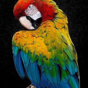Colorful Parrot Fabric Panel - BPT-004, Panel Size is 16” X 24 ...