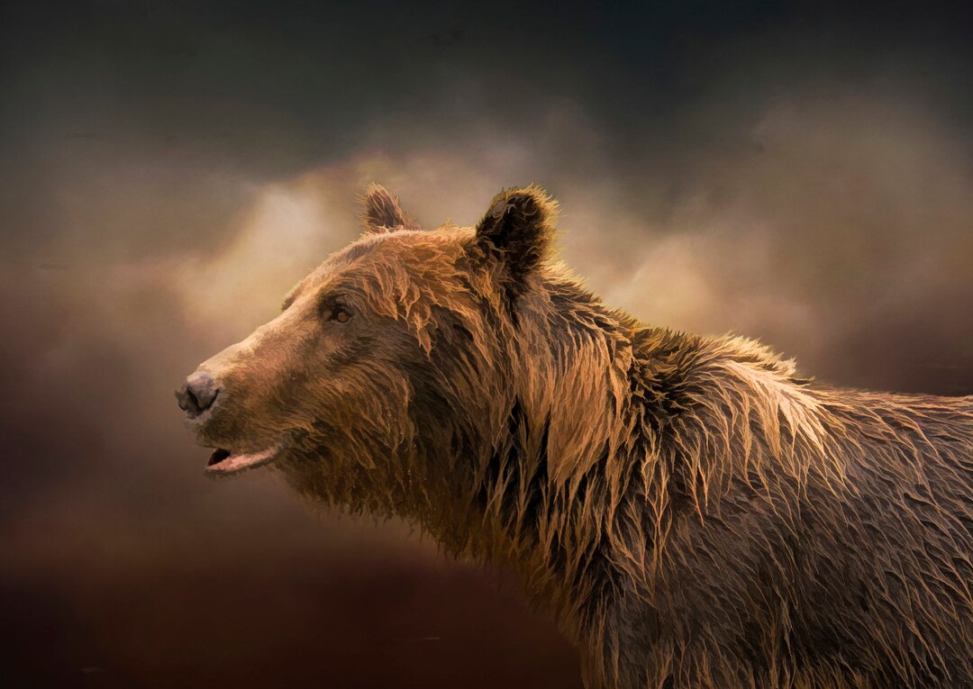 Grizzly Bear Profile Fabric Panel - ANW-036, Panel Size is 23.5” X 18. ...