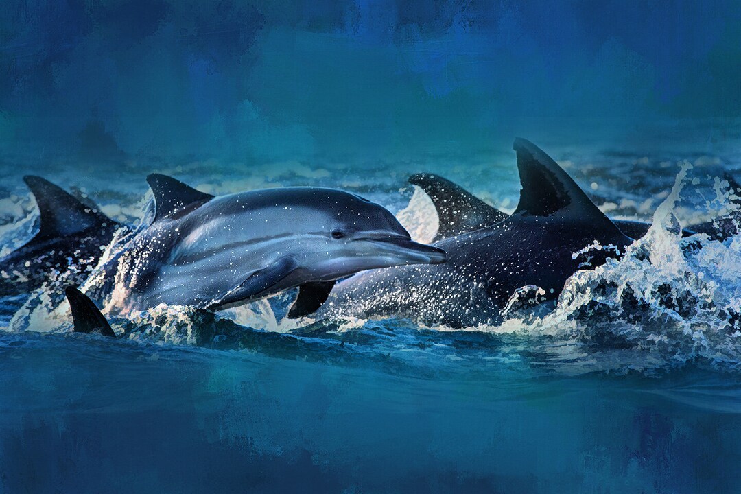Dolphins Fabric Panel - OCE-004, Panel Size is 20” X 13.5”, Quality ...