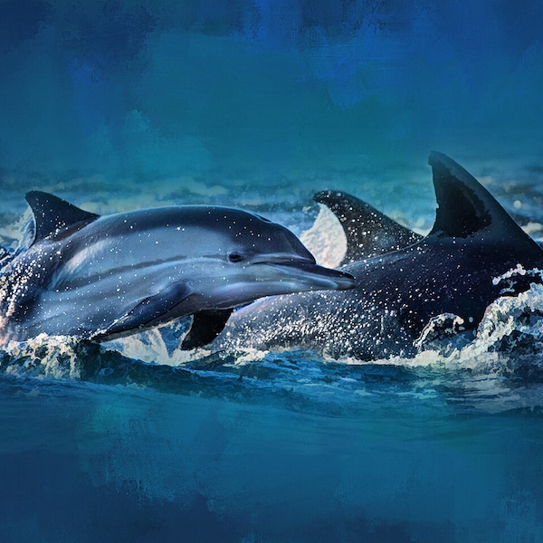 Dolphin Fabric - Etsy
