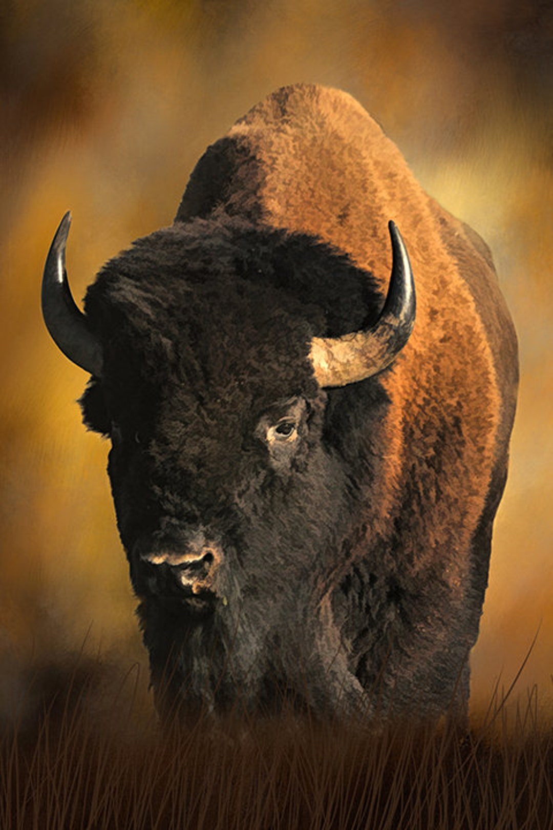 Bull Buffalo Fabric Panel, Quilt Panel, Quilting Cotton Fabric ...