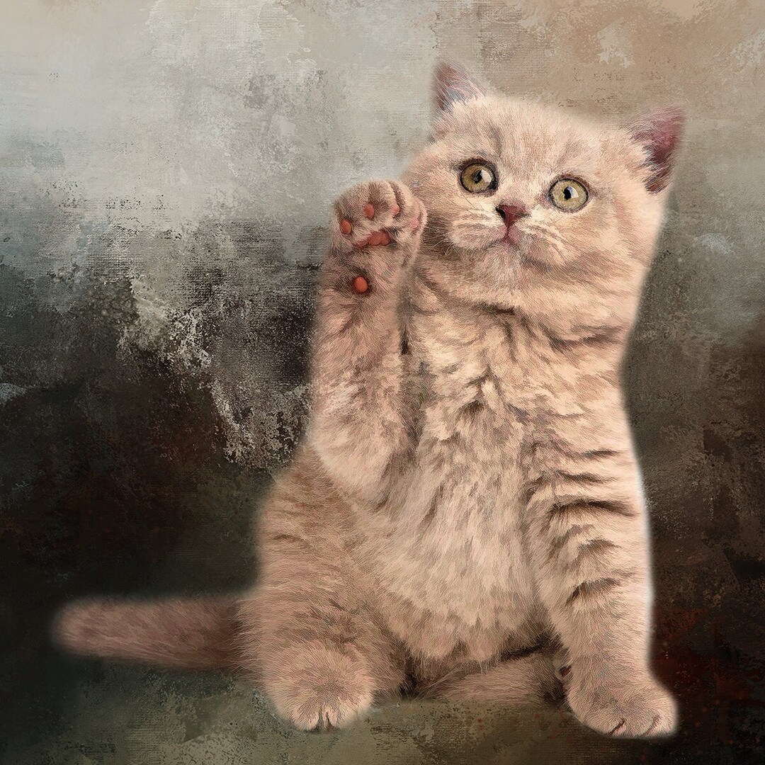Waving Kitty Fabric Panel - ADP-006, Panel Size is 16” X 16”, Quality ...