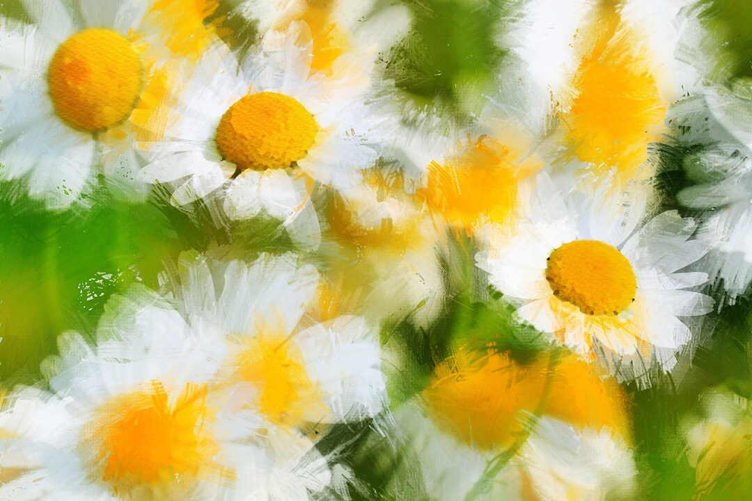 Daisies Fabric Panel - FLR-040, Size 24" X 16", Quality Quilting Cotton ...