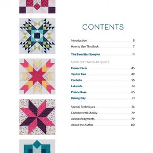 Barn Star Sampler Book, 20 Starry Blocks and 7 Spectacular Quilts, Shelley Cavanna, Quilting ...