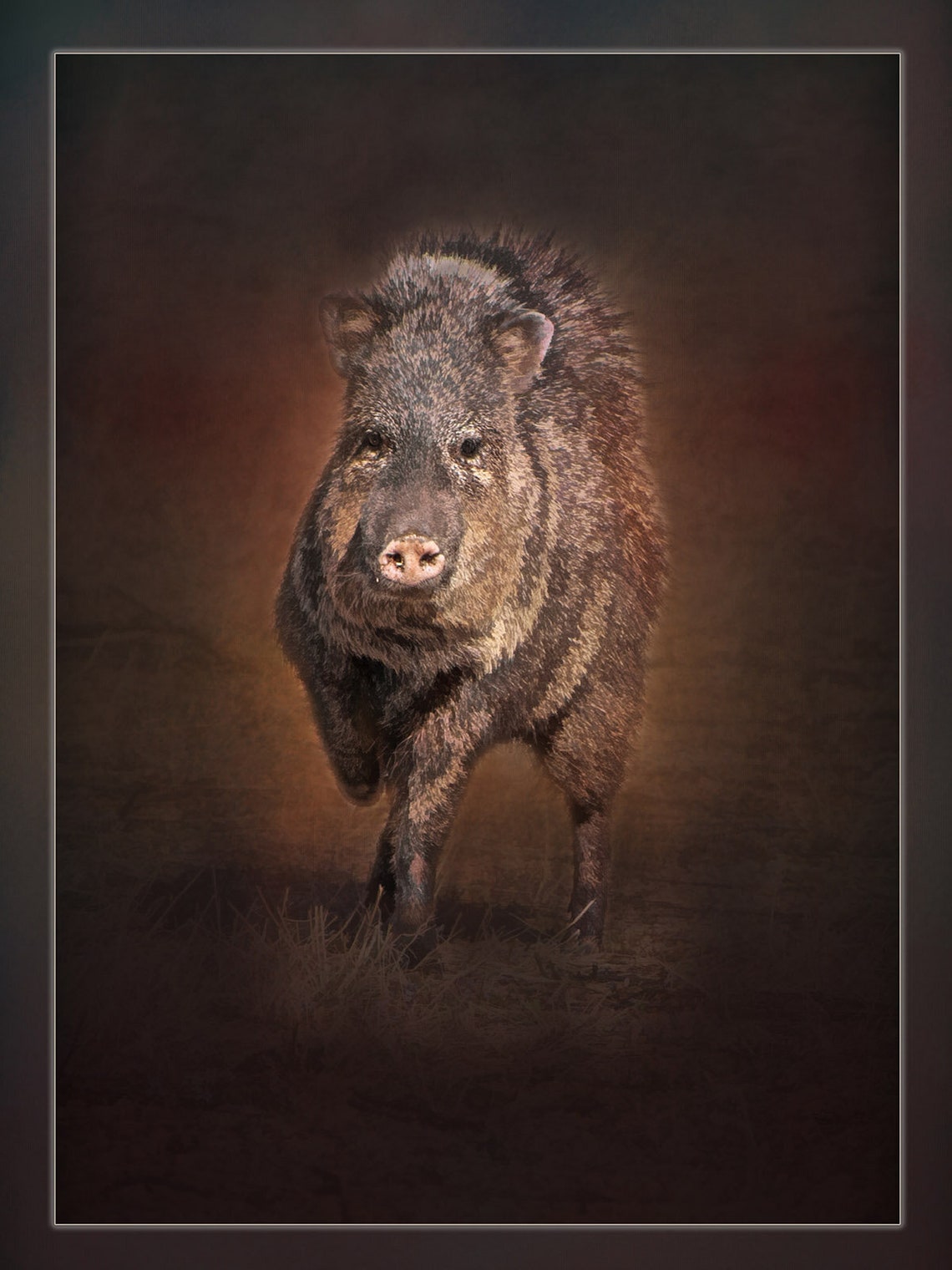 Arizona Javelina Fabric Panel - ANW-061, Size 12" X 16", Quality ...