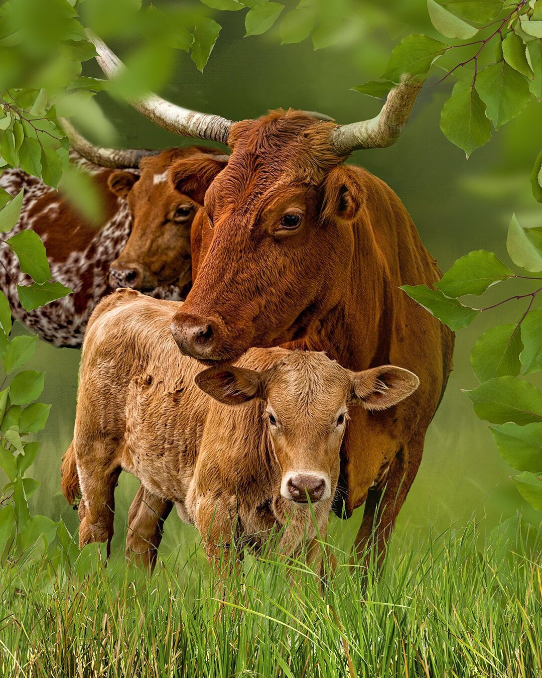 Longhorn Family Fabric Panel, Quilt Panel, Quilting Cotton Fabric ...