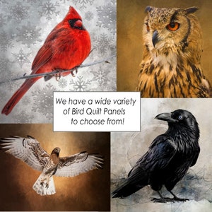 Brilliant Bluebird Fabric Panel, Quilt Panel, Quilting Cotton Fabric ...