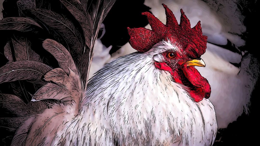 Illustrated White Rooster Fabric Panel - BCR-006, Panel Size is 24” X ...