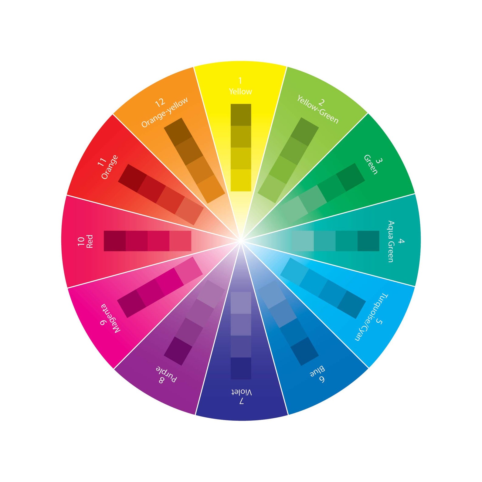 Take-along Mini Color Wheel: 12 Numbered Swatches With Tints & - Etsy