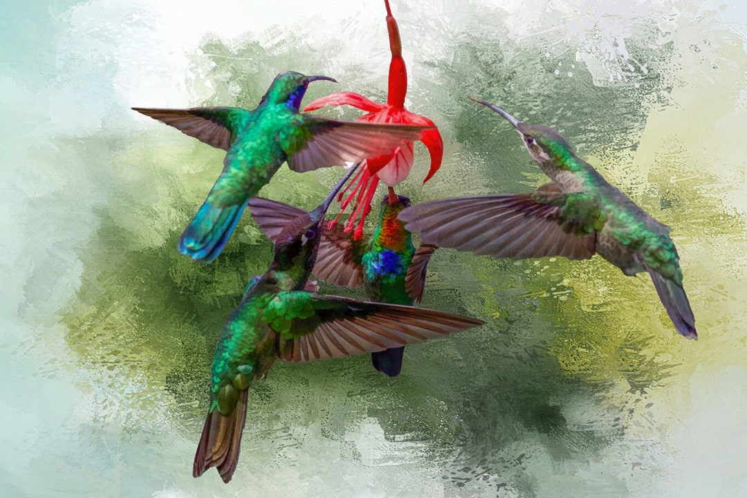 Hummingbird Family Fabric Panel, Size is 24" Wide X 16" Tall, Quality ...