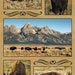 Buffalo Composite Fabric Panel, Quilt Panel, Quilting Cotton Fabric ...