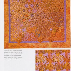 One-block Wonders Book, One Fabric, One Shape, One-of-a-kind Quilts, Maxine Rosenthal, 6 Quilt ...