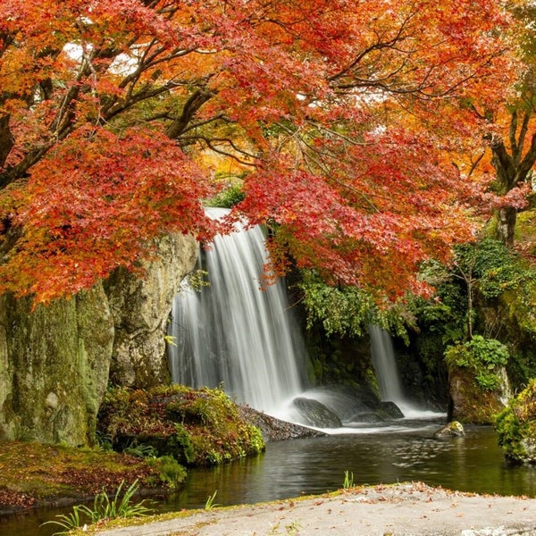 Waterfall Fabric - Etsy