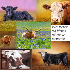 Longhorn in Bluebonnets Quilt Panel, Quilt Fabric Panel, Quilting ...