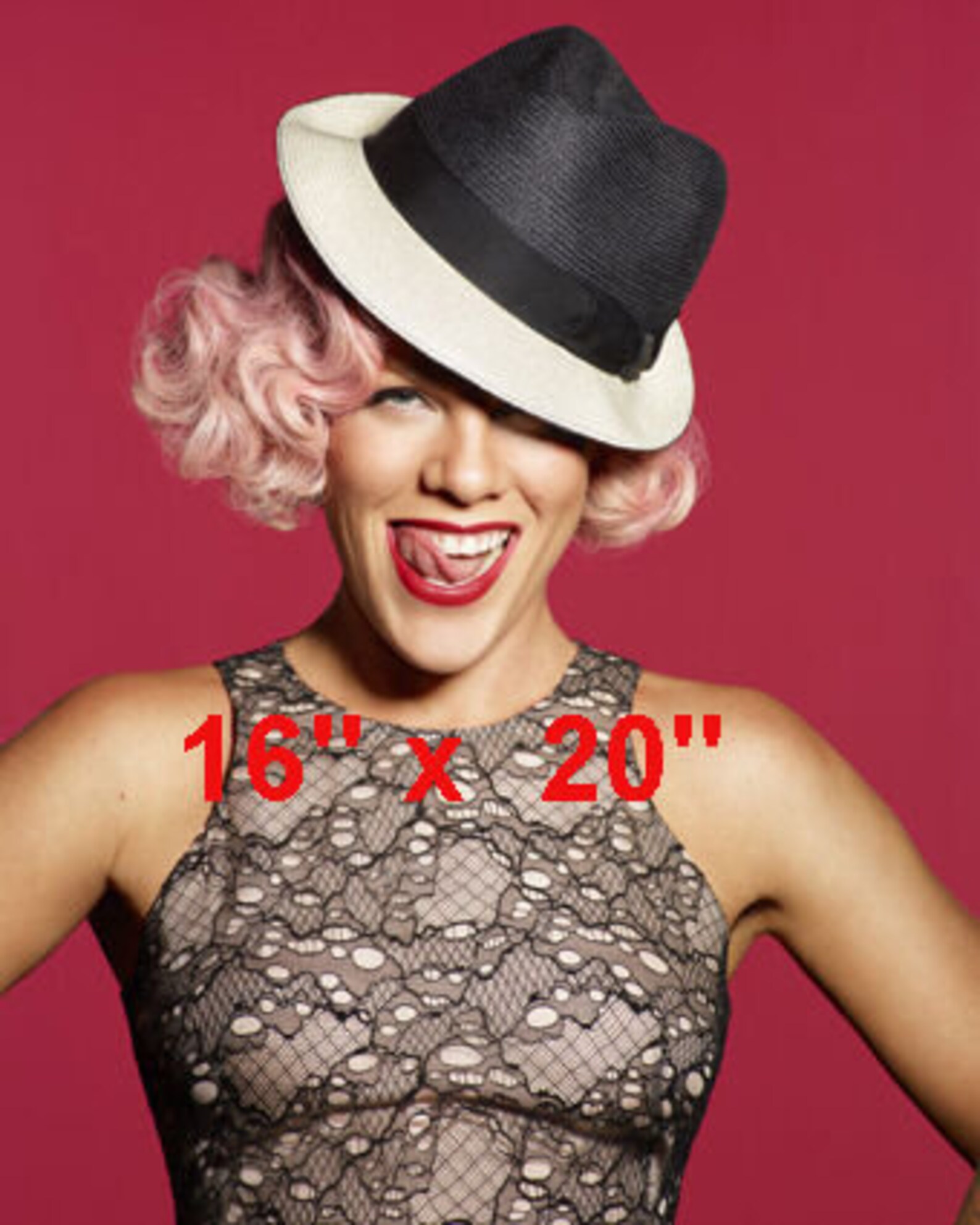 Pink~music~entertainment Room Decor~ Salon Decor~#2 Print~photo~16" X ...