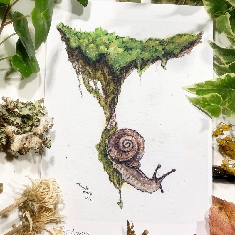 Snail Art Print - Etsy