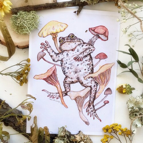 Mushroom Toad Art Prints Toad Art Nature Art Animal Art | Etsy