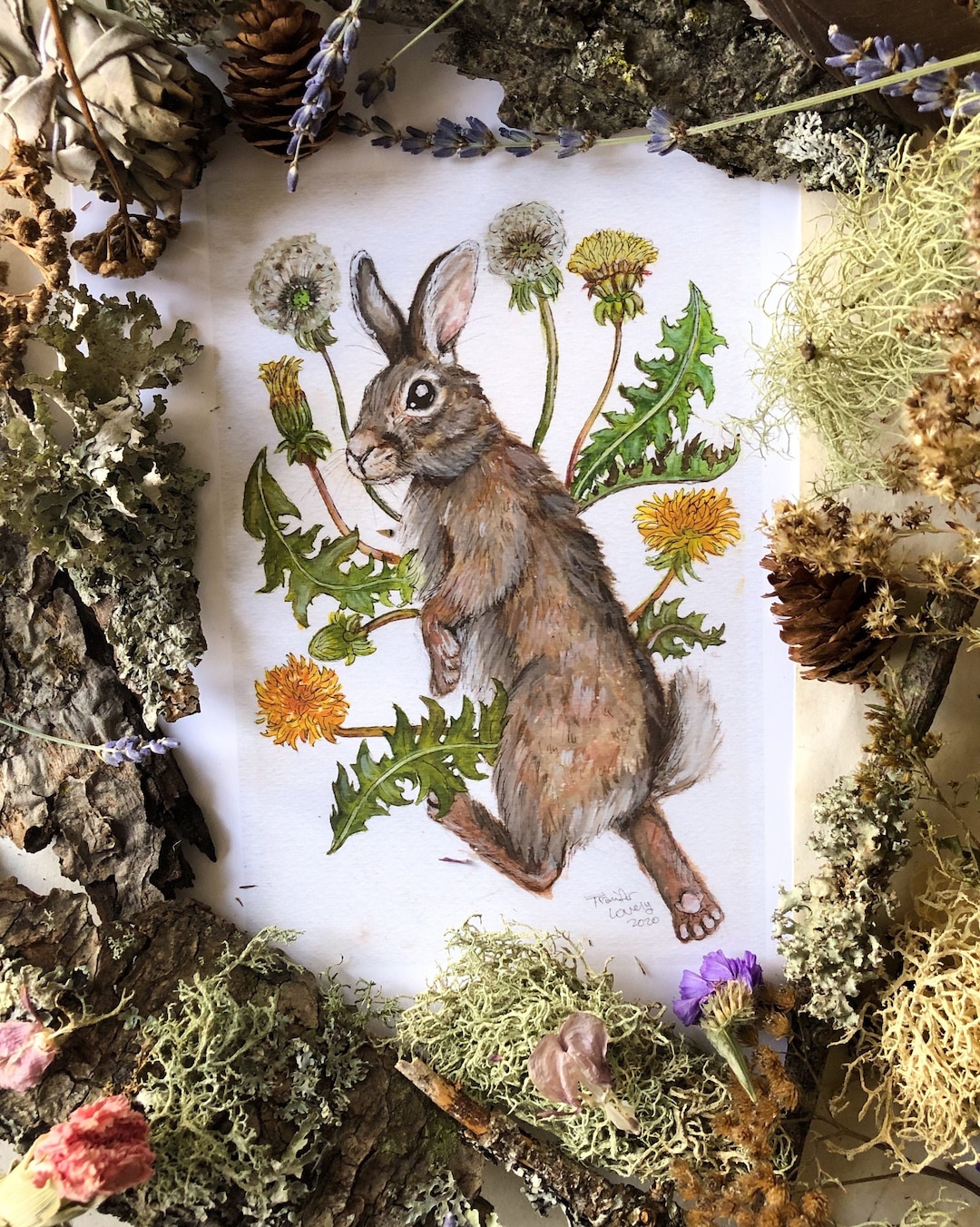 Cottontail Rabbit Print - Bunny Watercolor Painting, Cute Bunny Print ...