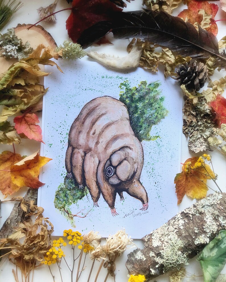 Tardigrade Art Art Prints Scientific Art Biology Art Water | Etsy