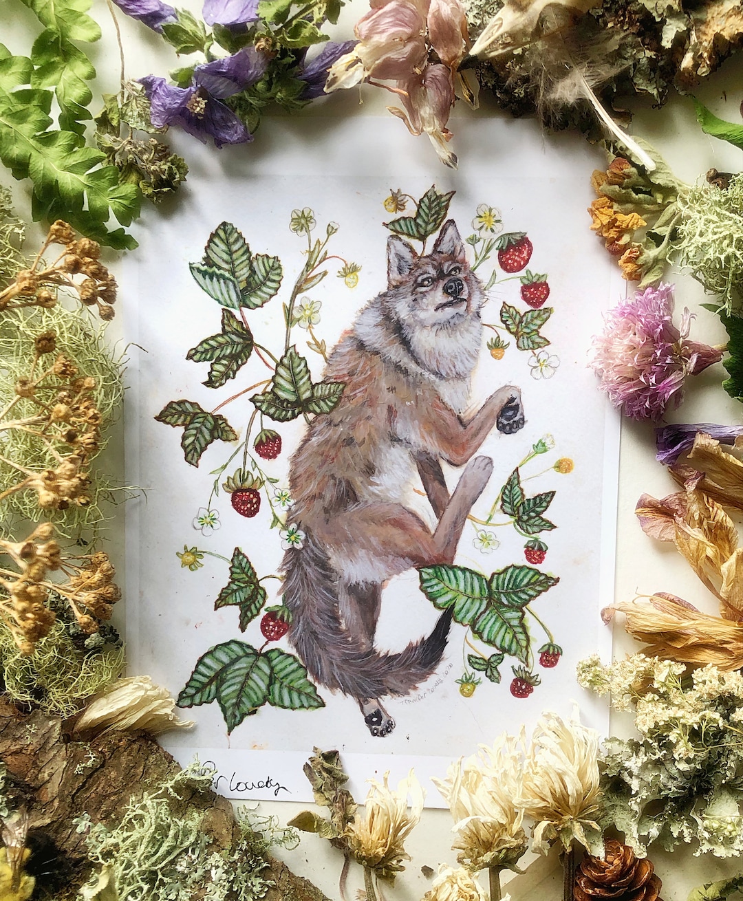 Coyote Print, Watercolor Painting, Coyote Art, Wildlife Art, Coyote ...