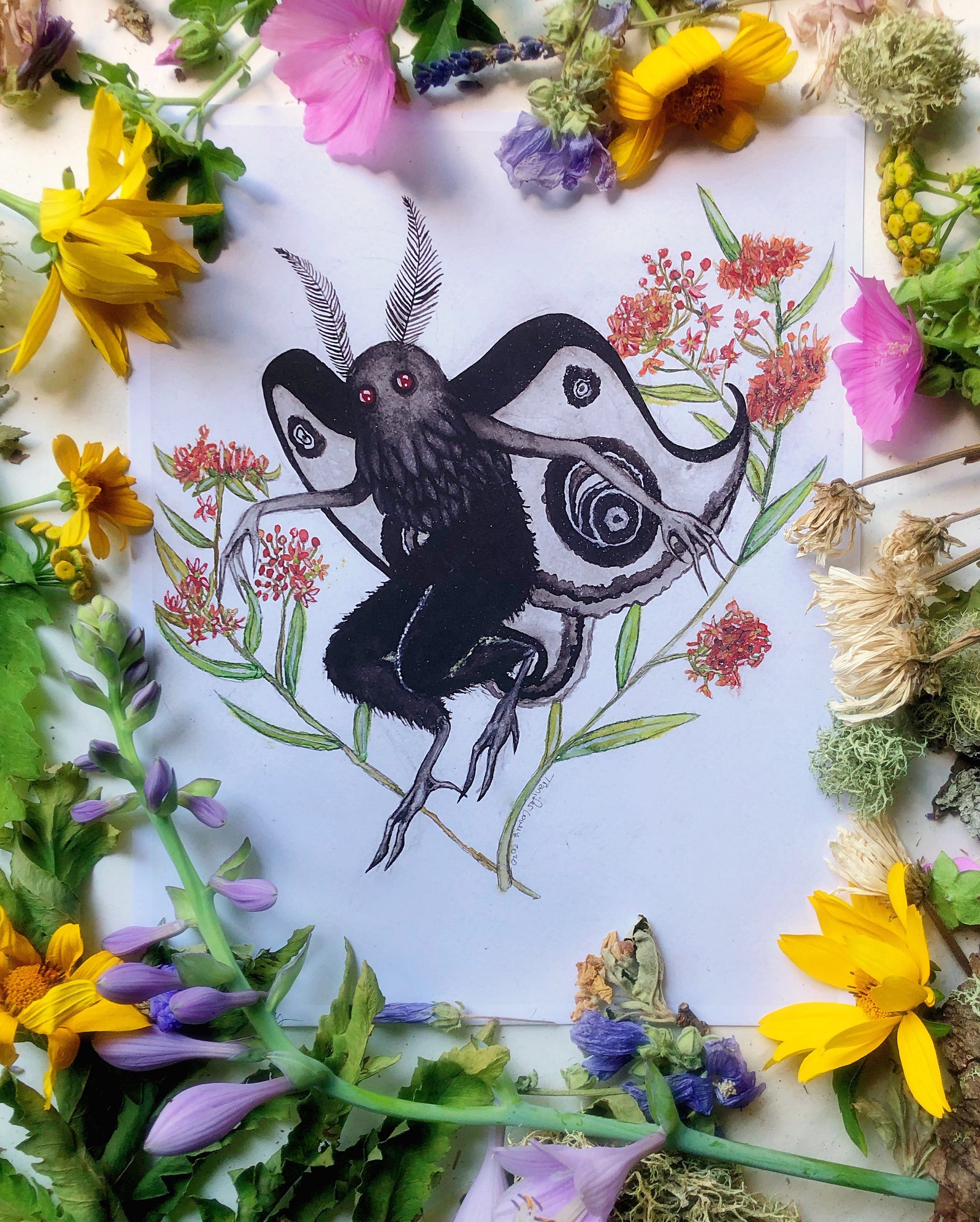 Mothman Painting Art Prints Mothman Cryptid Cryptozoology - Etsy