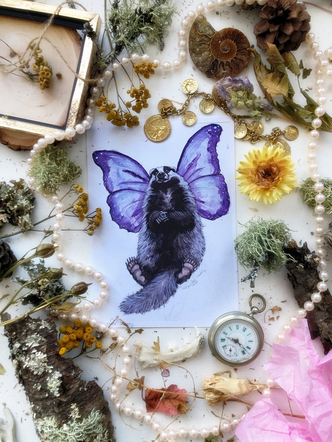 Fairy Badger, Art Prints, Badger Watercolor, Fairy Art, Butterfly ...