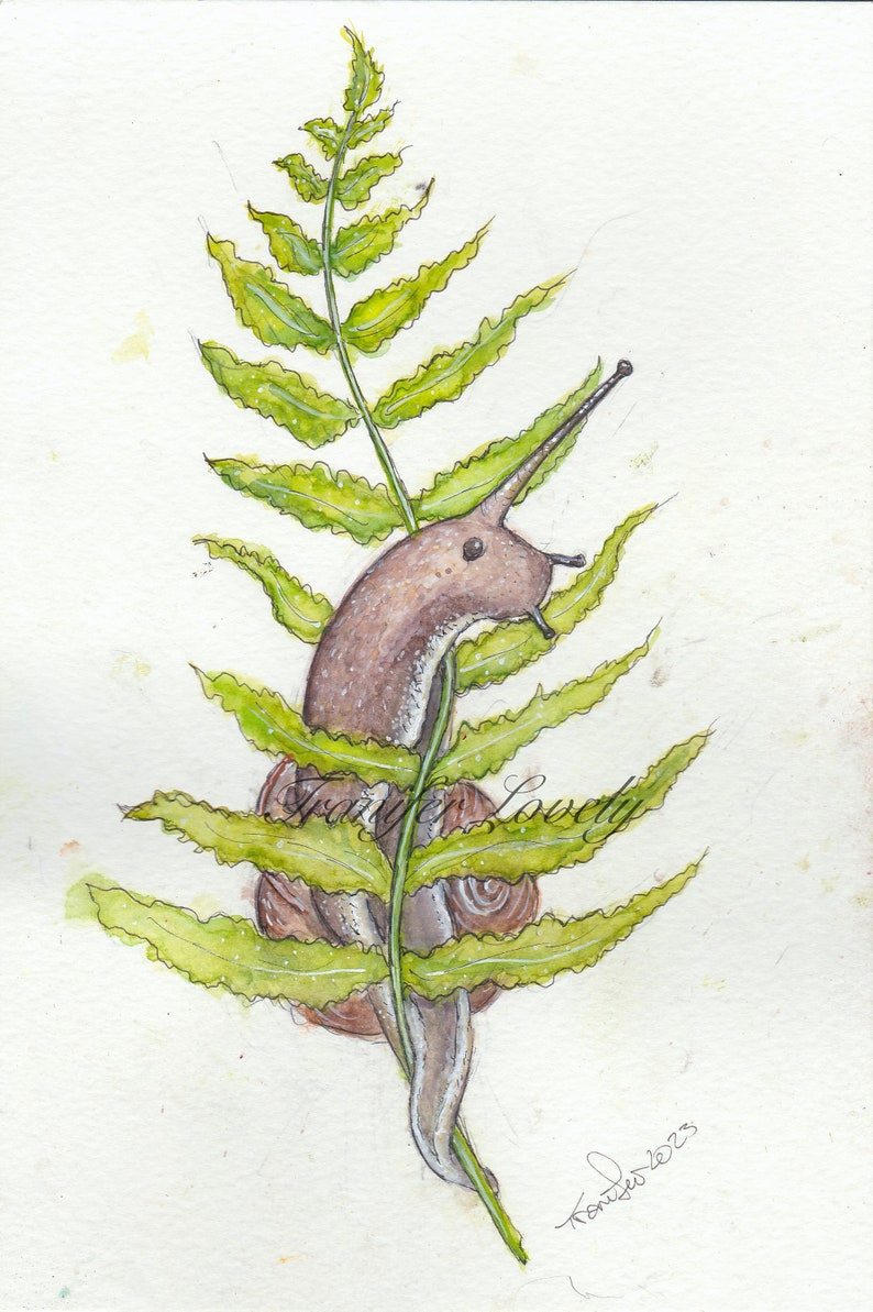 Snail and Fern Art Prints, Snail Art, Botanical Watercolor, Nature Art ...