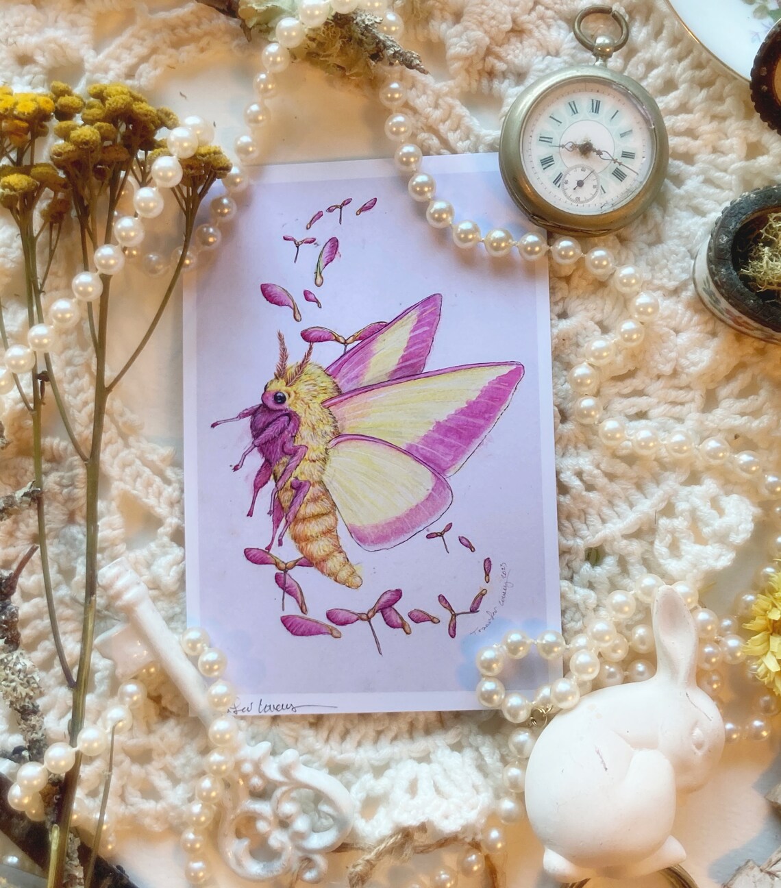 Rosy Maple Moth Art Print Watercolor Painting Nature Wall - Etsy