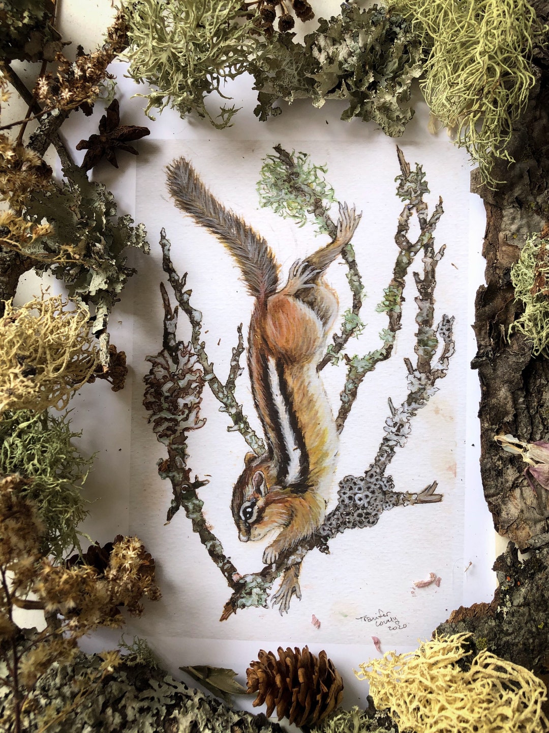 Chipmunk Print - Chipmunk Watercolor, Chipmunk Wall Art, Wildlife Art ...