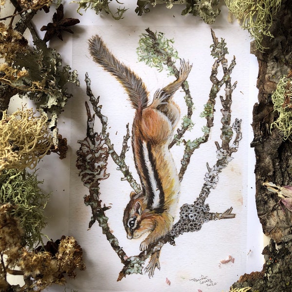 Chipmunk Art - Etsy
