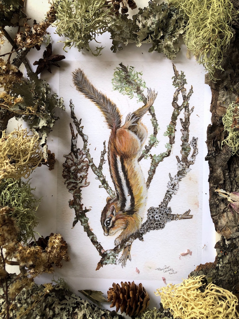 Chipmunk Print Chipmunk Watercolor Chipmunk Wall Art - Etsy
