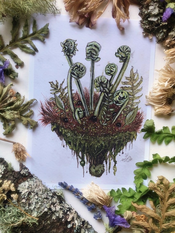 Fiddlehead Spirits Art Prints Watercolor Painting | Etsy