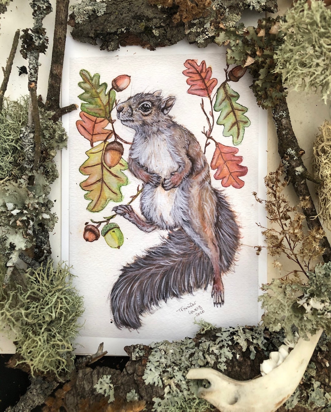 Squirrel Watercolor Painting, Art Prints , Cute Animal Art, Woodland ...
