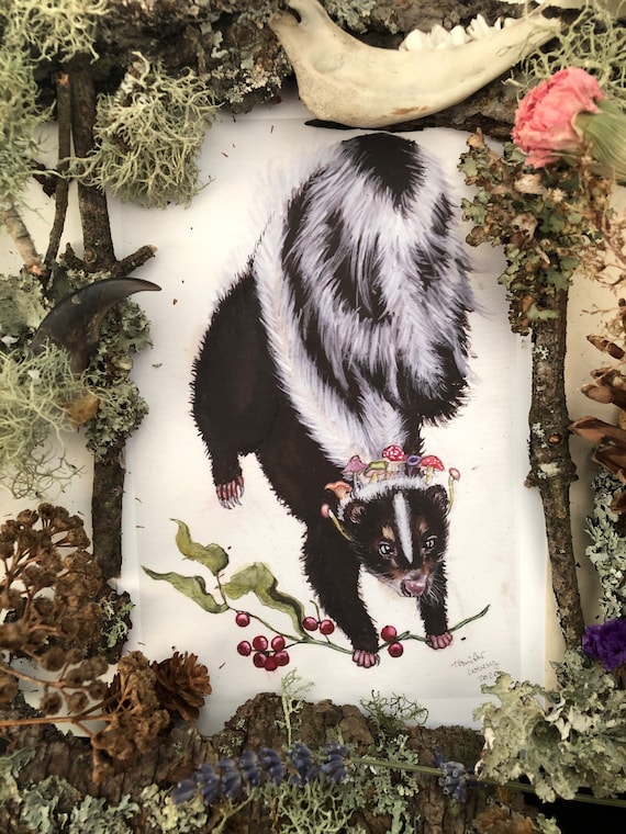 Skunk Print Skunk Watercolor Skunk Art Print Woodland | Etsy