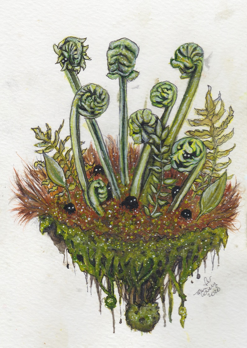 Fiddlehead Spirits Art Prints Watercolor Painting | Etsy