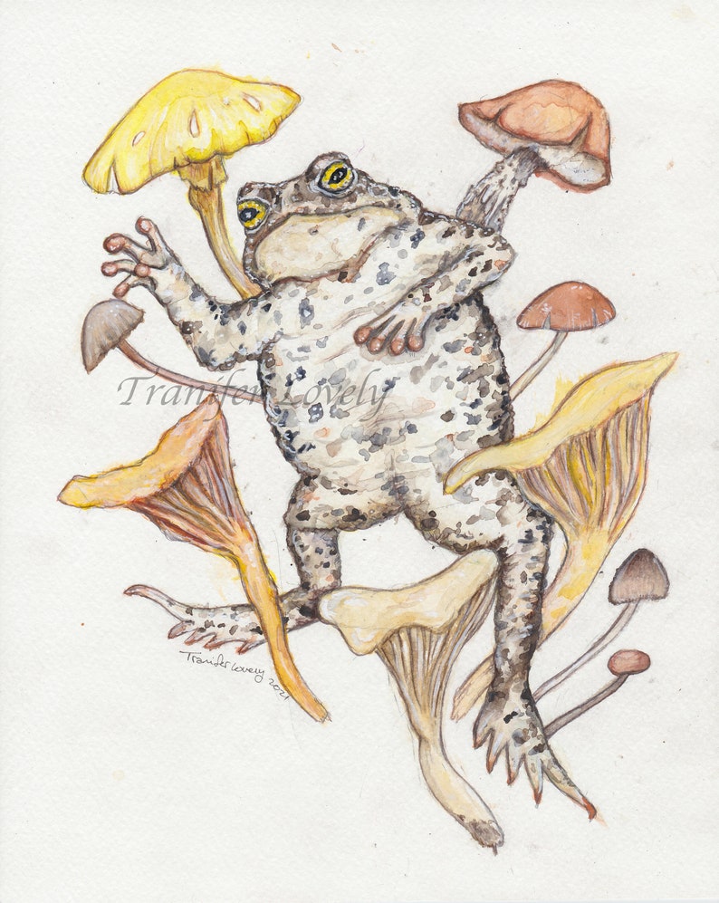 Mushroom Toad, Art Prints, Toad Art, Nature Art, Animal Art, Mushroom ...