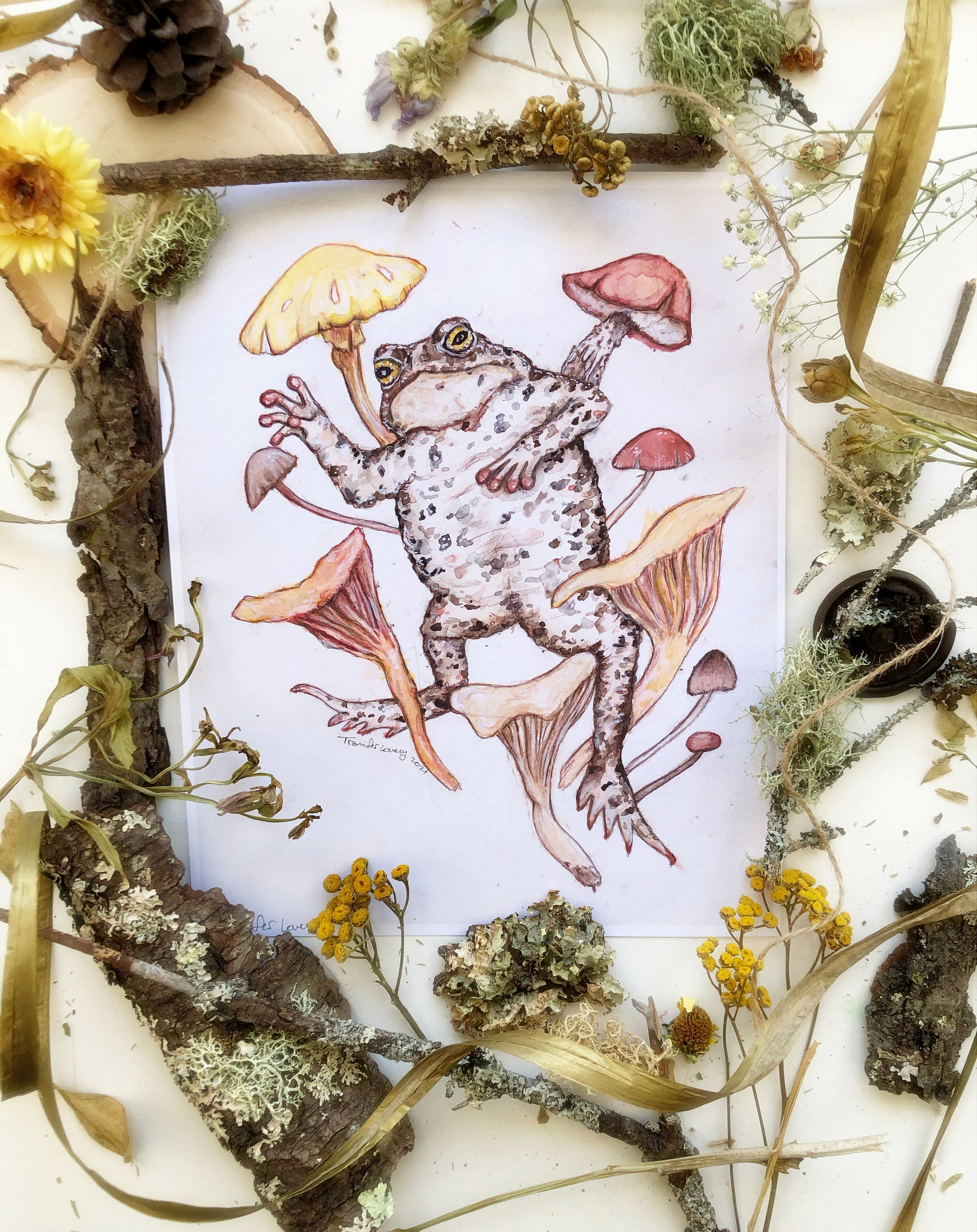Mushroom Toad Art Prints Toad Art Nature Art Animal Art | Etsy