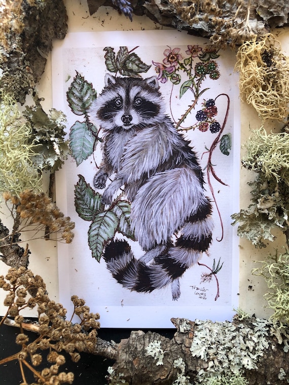 Raccoon Print Raccoon Watercolor Raccoon Wall Art Raccoon - Etsy