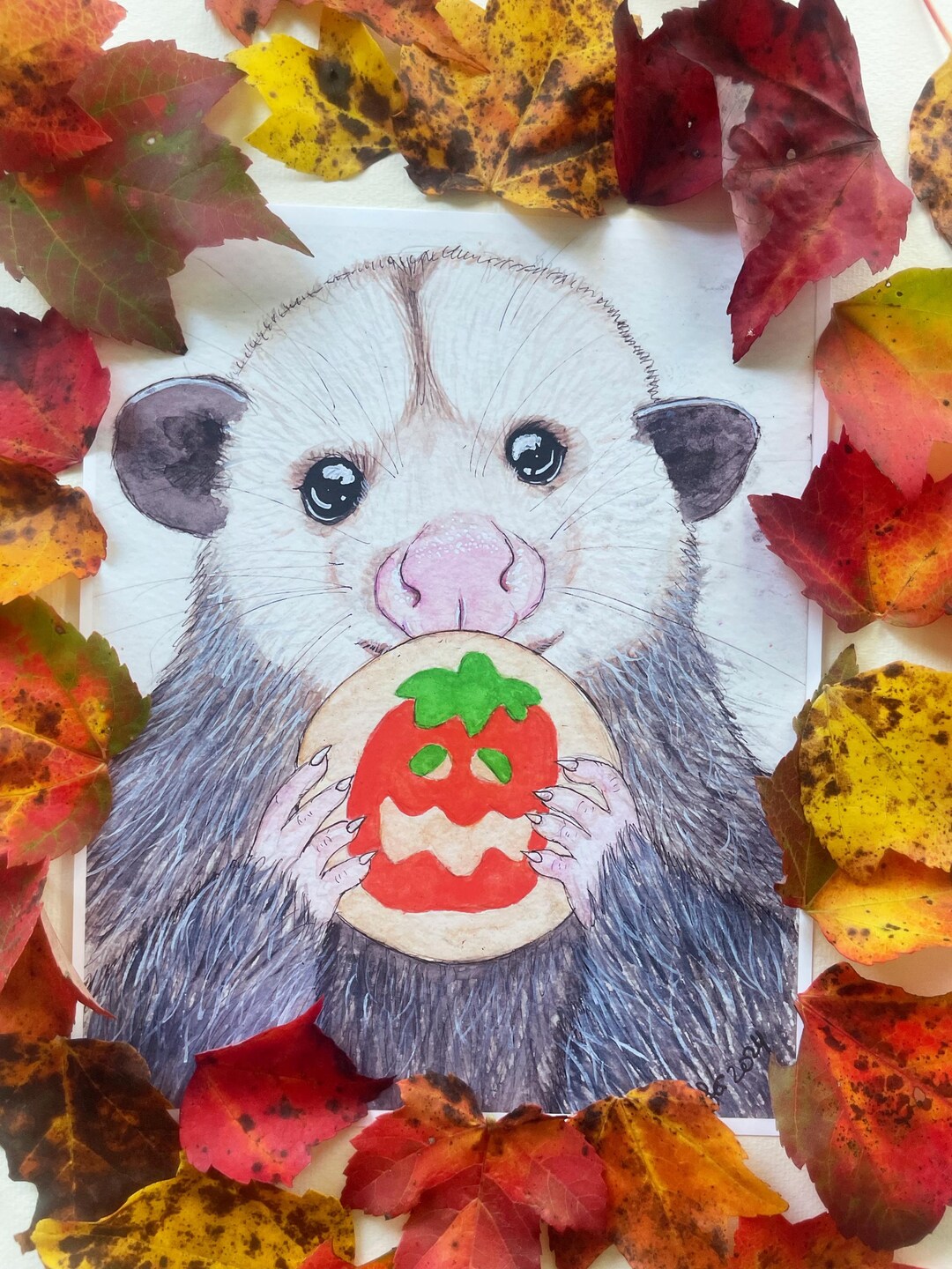 Cookie Possum, Art Prints, Opossum Watercolor, Cute Animal Art, Possum ...