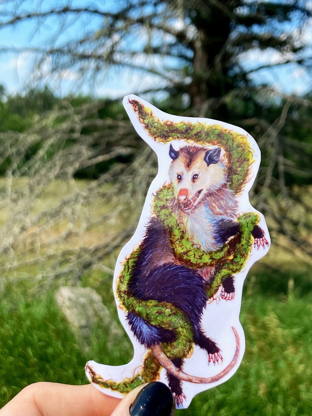 Hissing Possum Stickers | Cute Opossum Decals | Waterproof ...