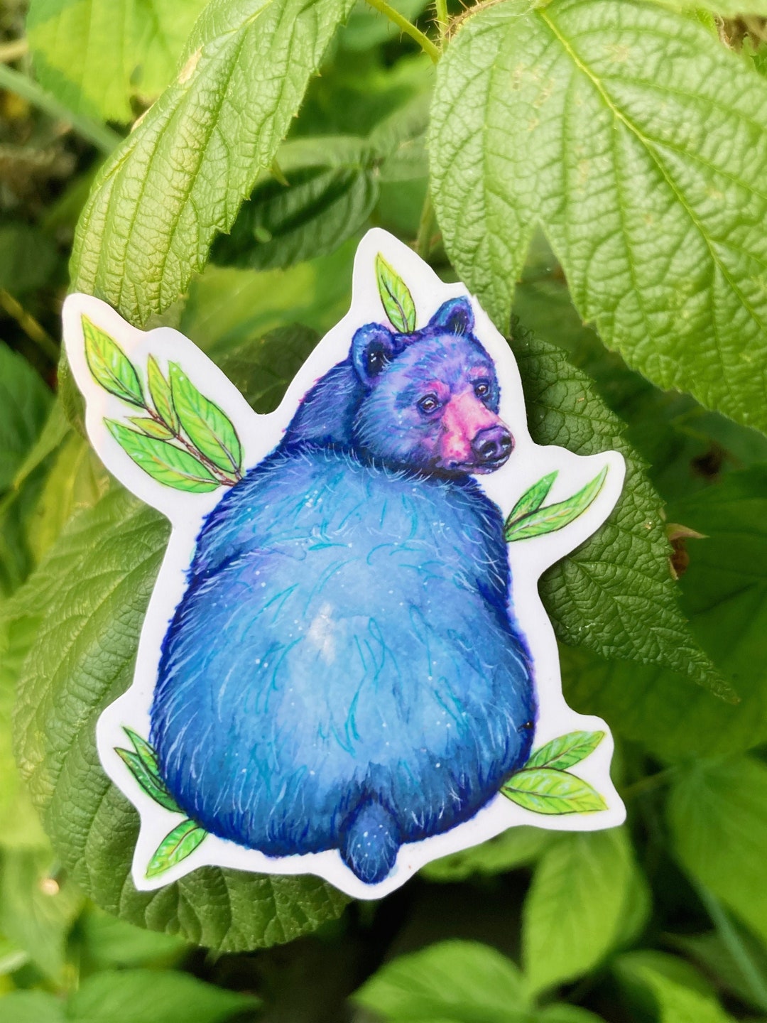 Blueberry Bear Sticker, Bear Art, Blueberry Art, Vinyl Decal, Bumper ...