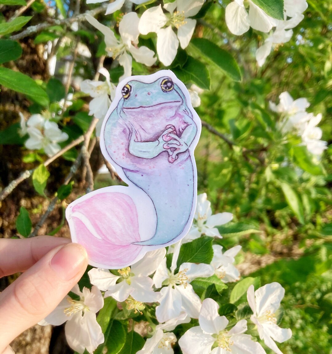 Mermaid Frog Sticker, Vinyl Decal, Animal Sticker, Frog Sticker ...