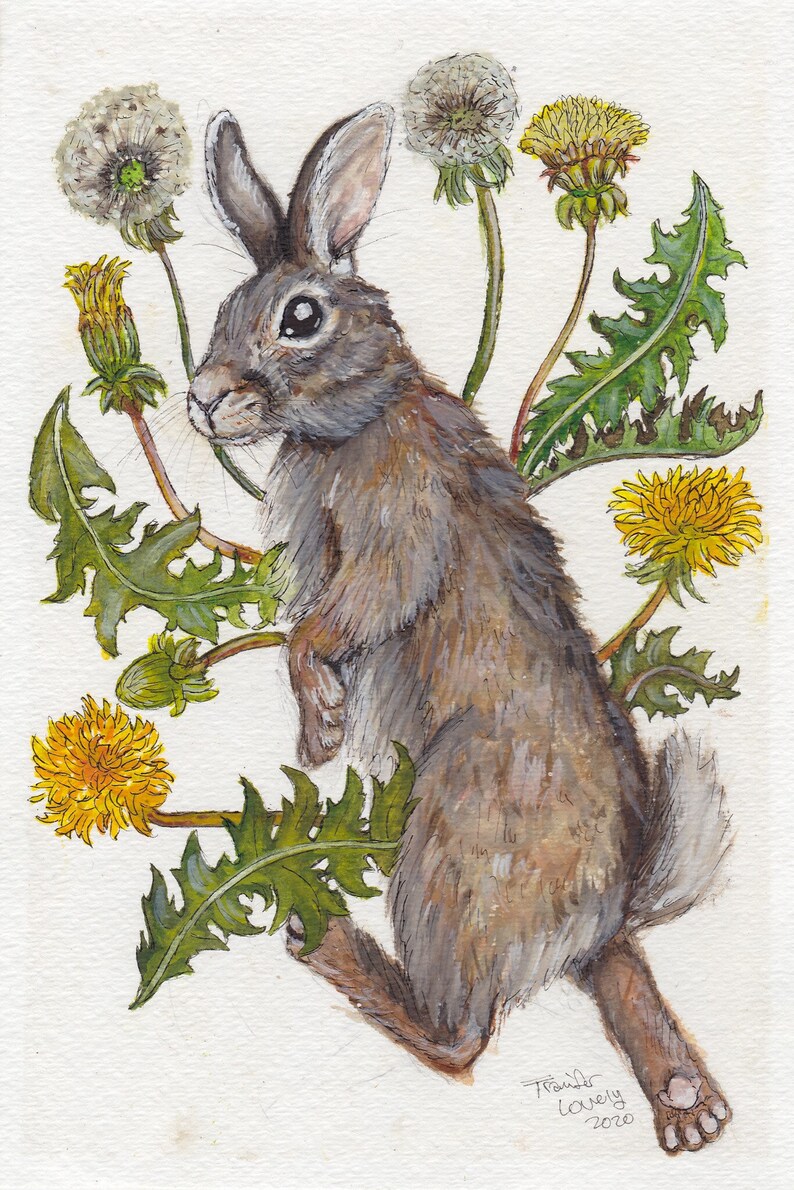 Cottontail Rabbit Print Bunny Watercolor Painting Cute - Etsy