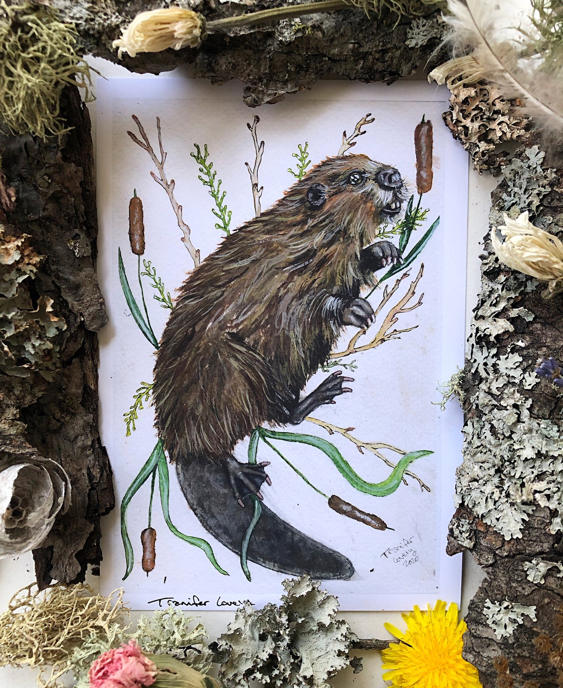 Beaver Print Beaver Watercolor Wildlife Art Print Woodland | Etsy