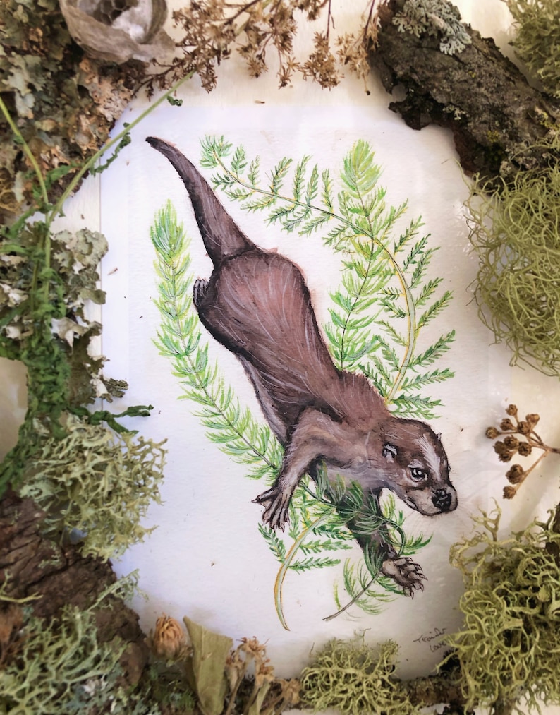 Otter Print Cute Otter Art Otter Nursery Decor Wildlife | Etsy