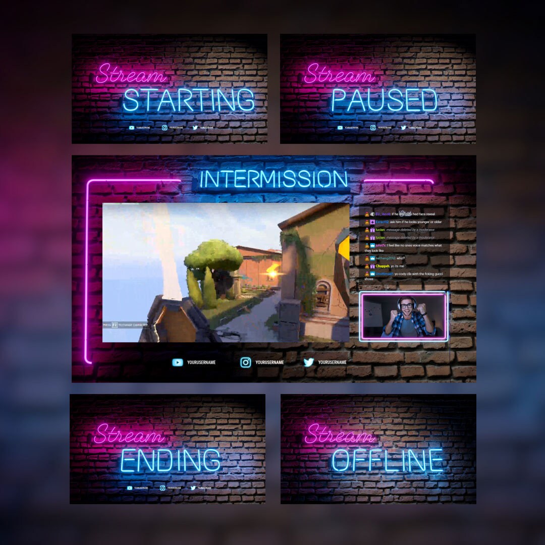 Neon Lights Animated Stream Screens/animated Screens/stream Package ...