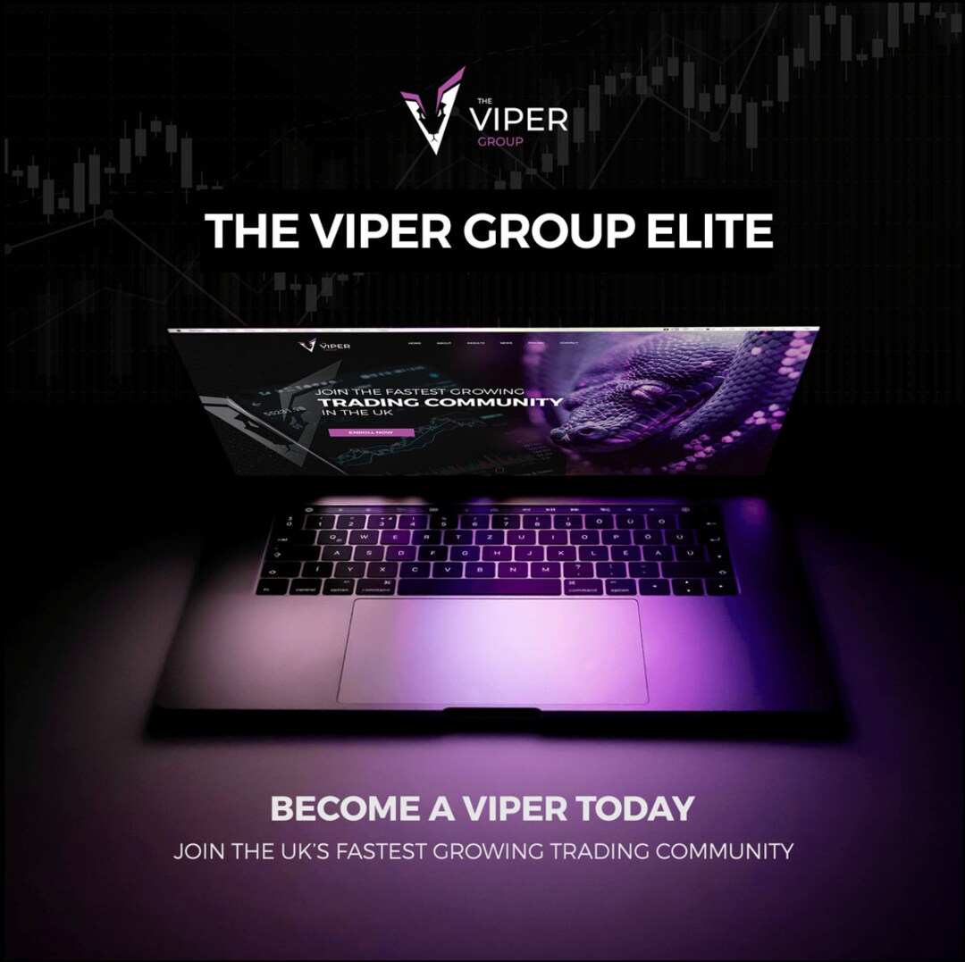 NEW - *VIPER Forex Daytrading Masterclass* - Etsy