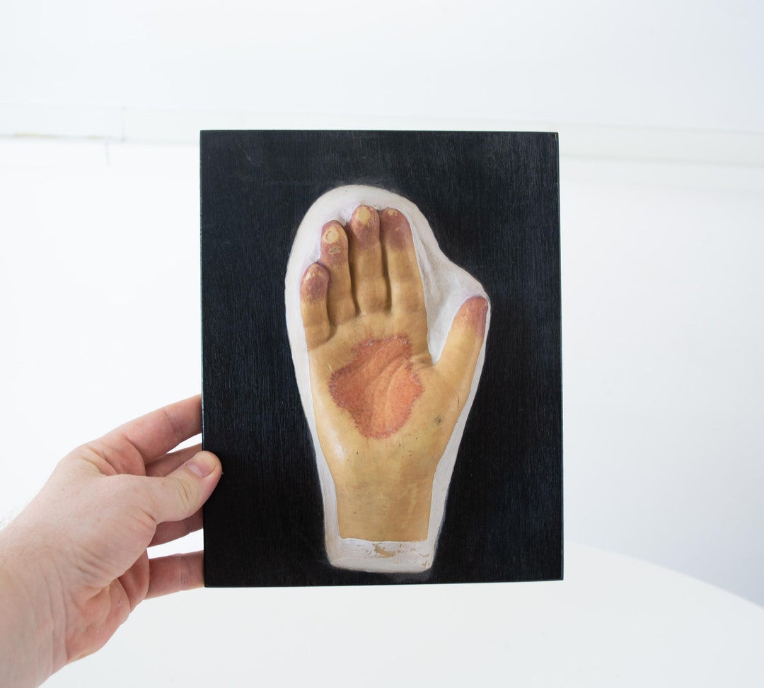Vintage Wax Anatomical Model, Vintage Medical Model of Hand, Wax Hand ...