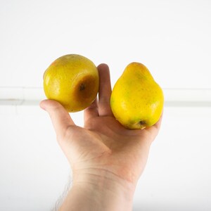 Vintage Wax Vegetables in the Original Box. Vintage Decorative ...